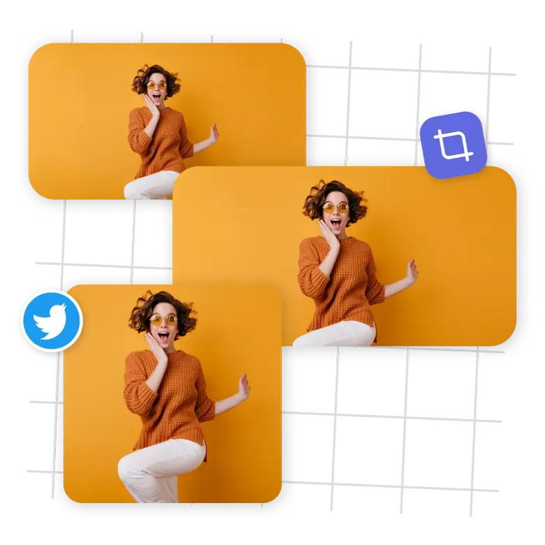 Free Online Twitter Image Cropper | LightX